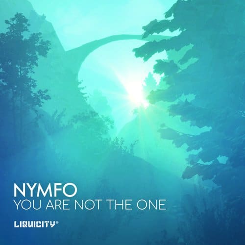 Nymfo - You Are Not The One — Liquicity Store